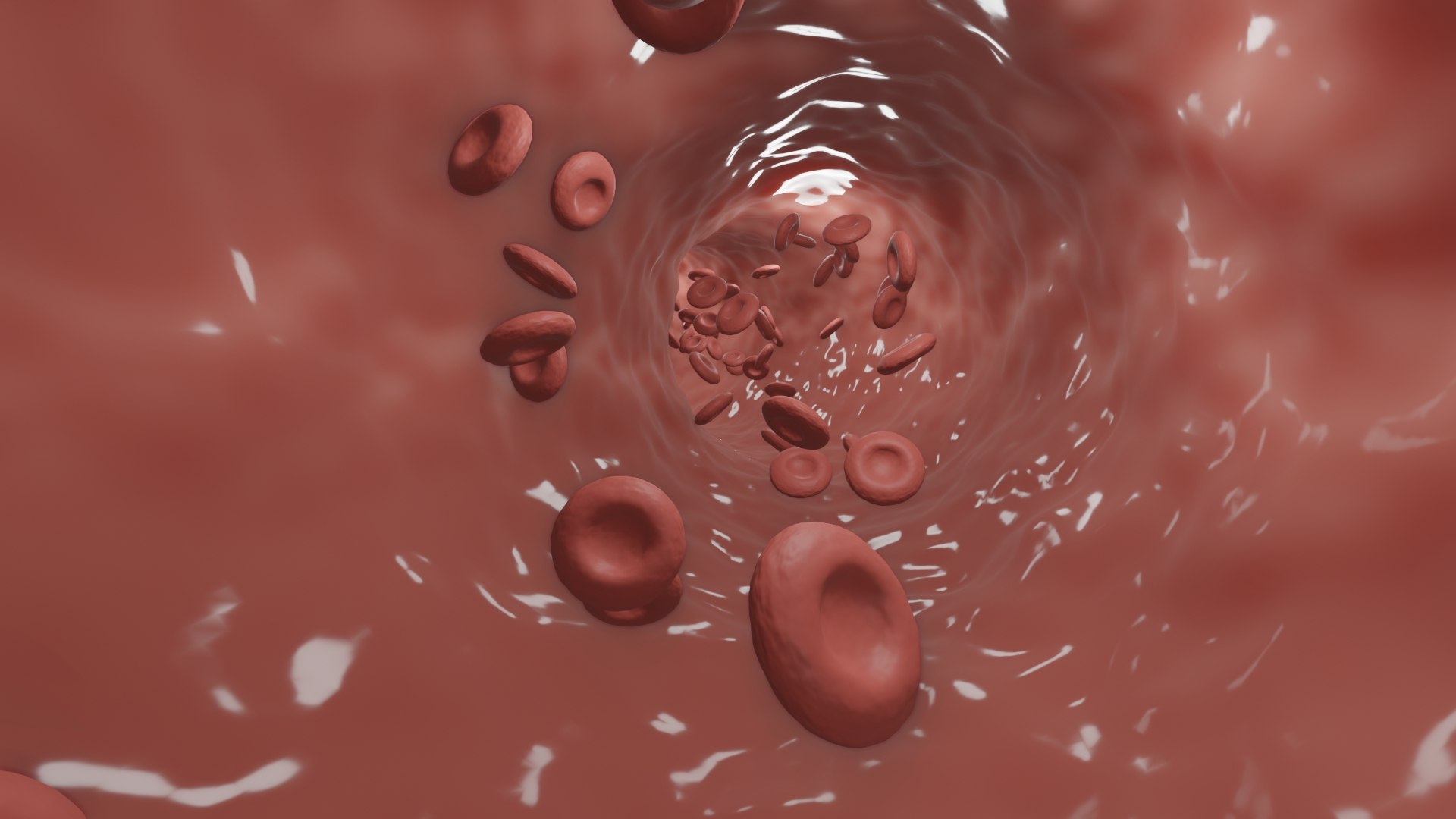 Blood Flow animation 3D model - TurboSquid 2026906