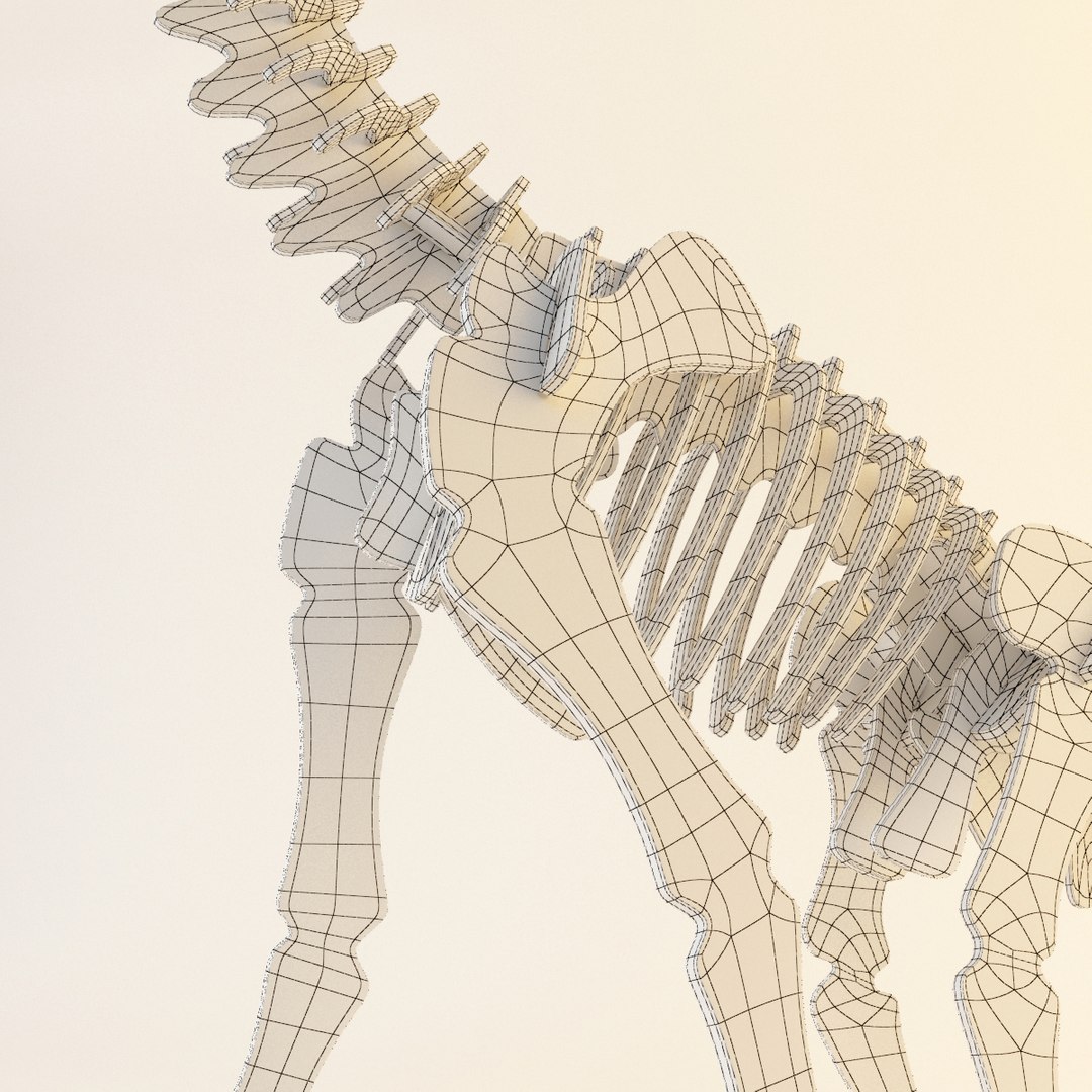 wooden brontosaurus 3d model