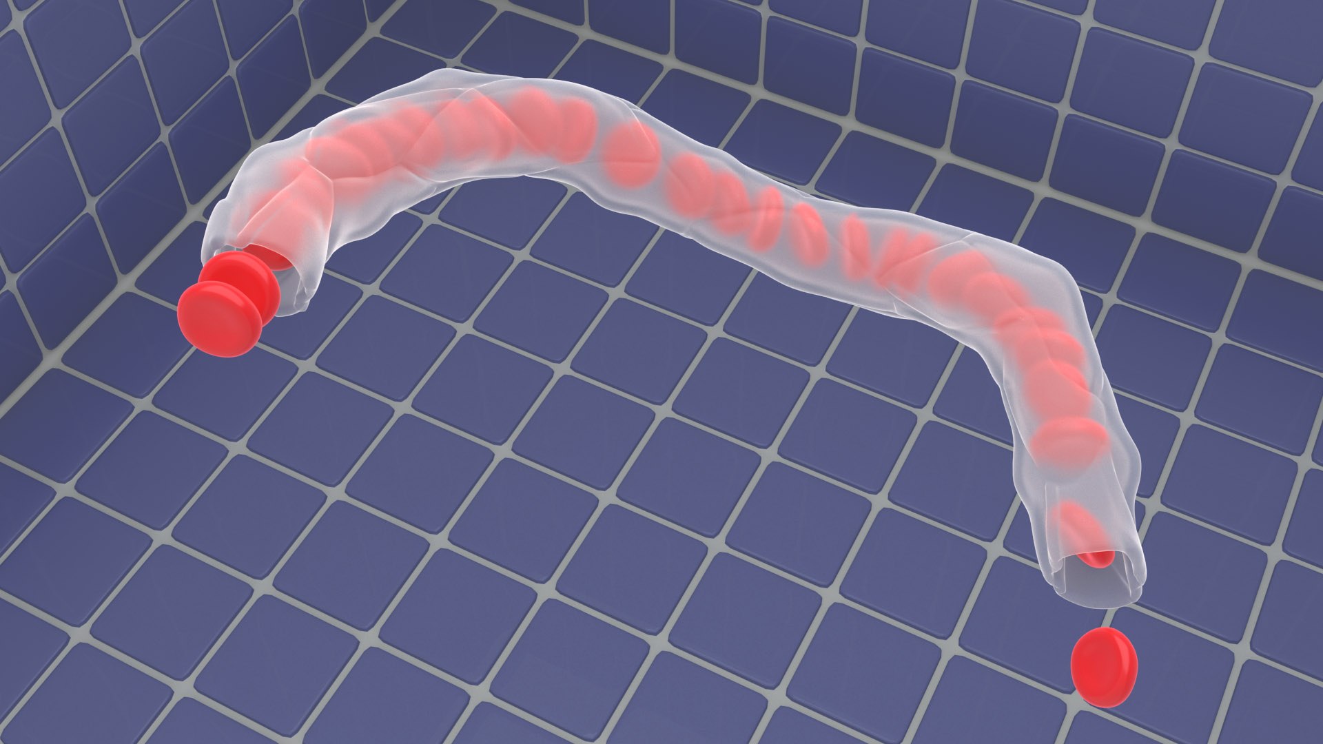 3D Capillary Vessel Model - TurboSquid 1835544