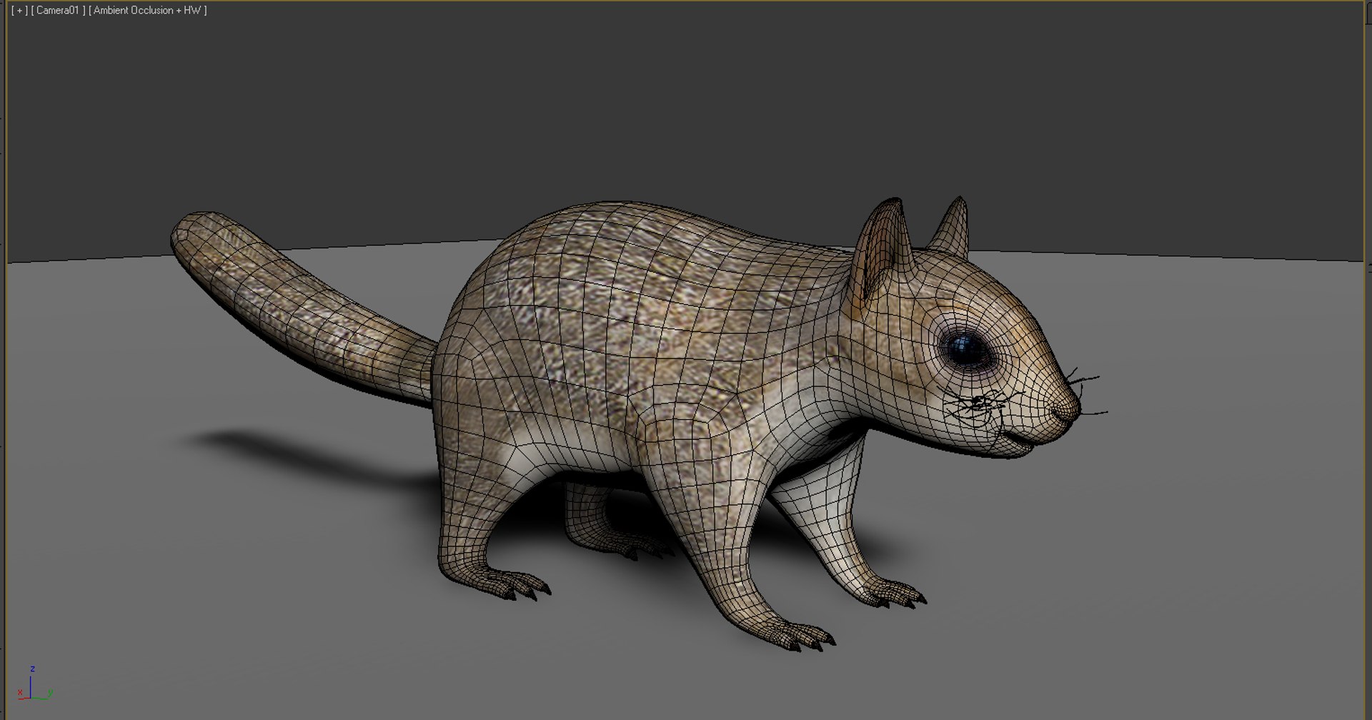 3d Squirrel Rigged Model
