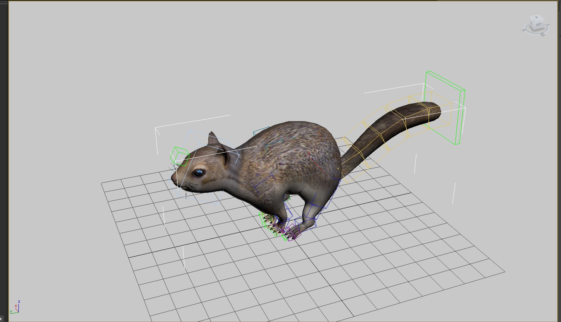 3d Squirrel Rigged Model