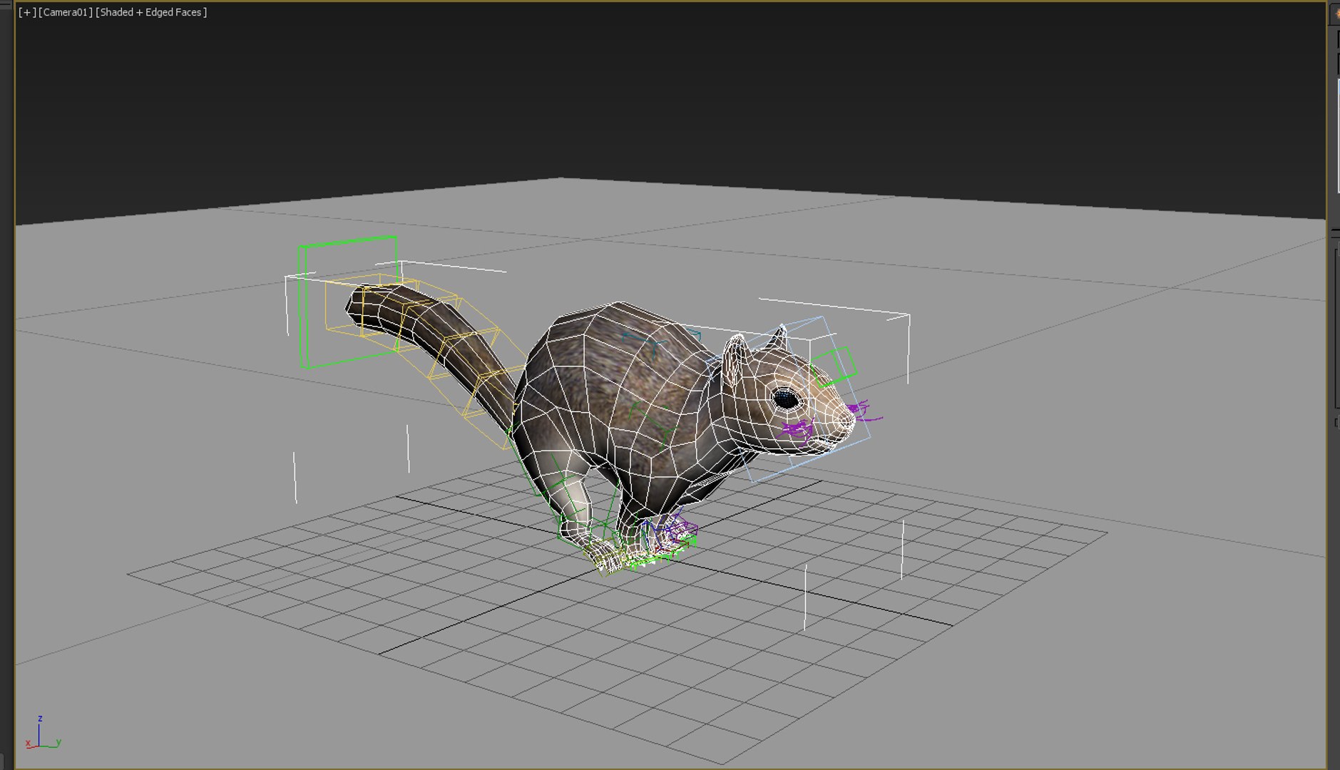 3d Squirrel Rigged Model