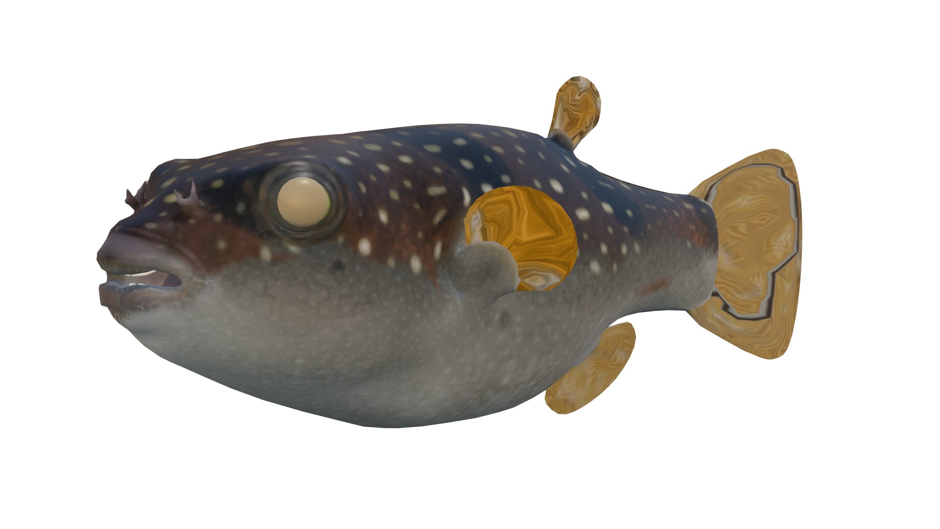 3D Model Blunthead Puffer Fish 3D Model - TurboSquid 2311843