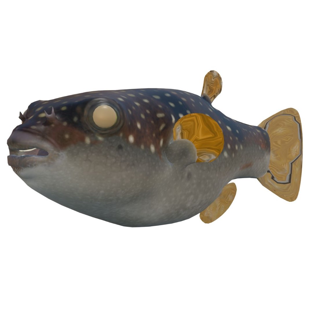 3D Model Blunthead Puffer Fish 3D Model - TurboSquid 2311843