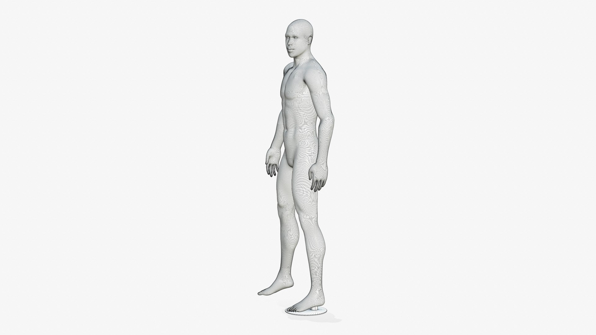 Back Male Mannequin Full Body 3D - TurboSquid 1878250