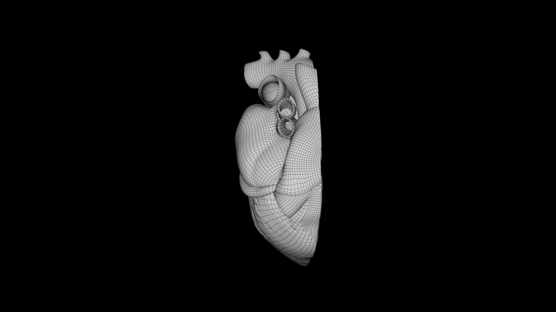 Human Anatomy-Cardiovascular-Heart Cut Section 3D Model - TurboSquid ...