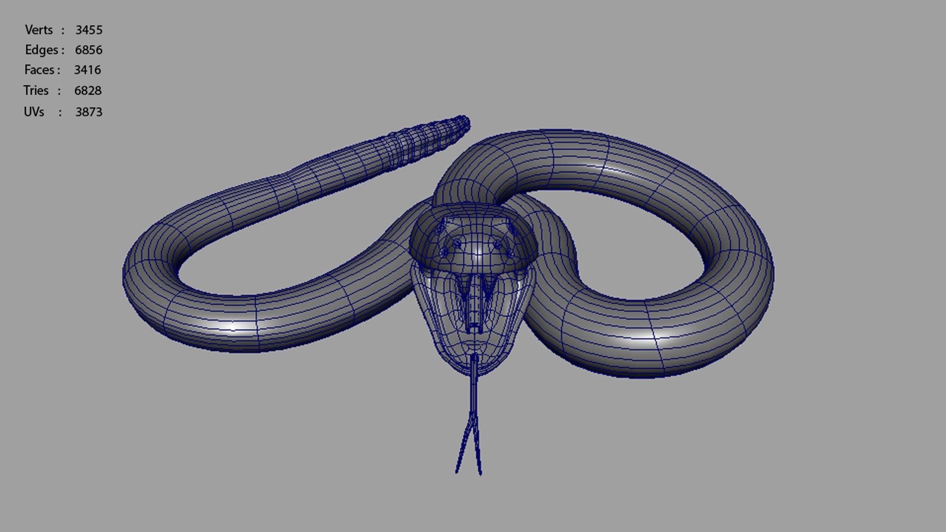rattlesnakes snakes 3d model
