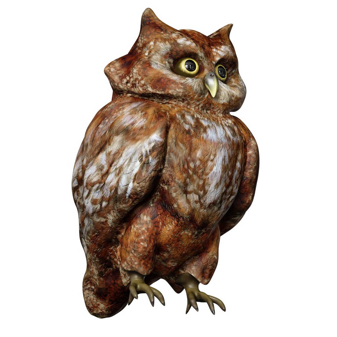 The Owl Bird 3D Model - TurboSquid 2187336