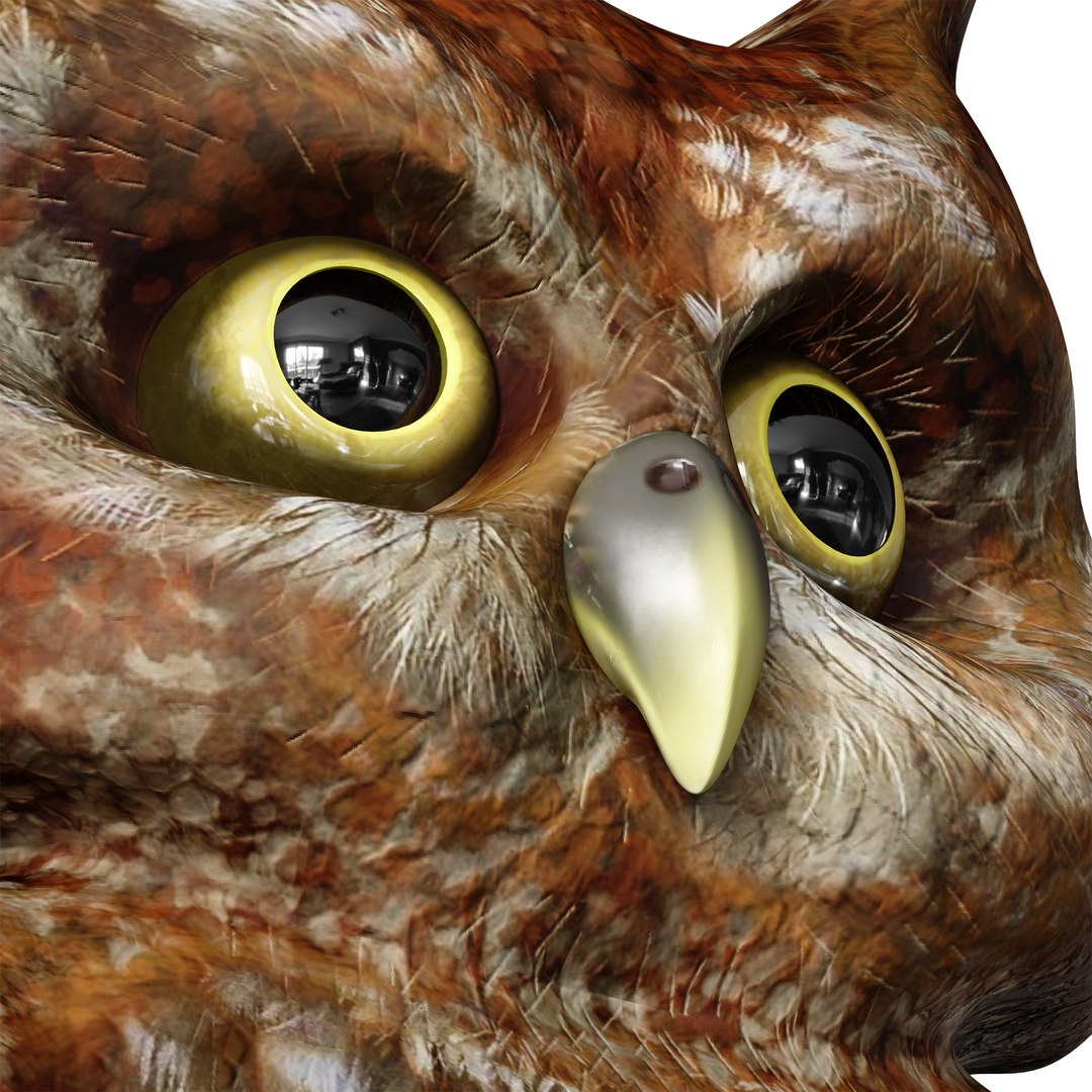 The Owl Bird 3D Model - TurboSquid 2187336