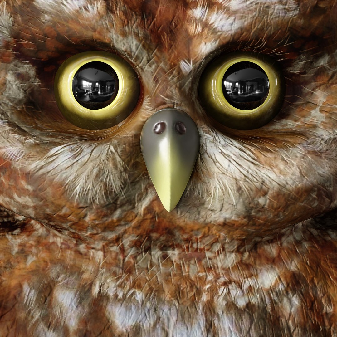 The Owl Bird 3D Model - TurboSquid 2187336