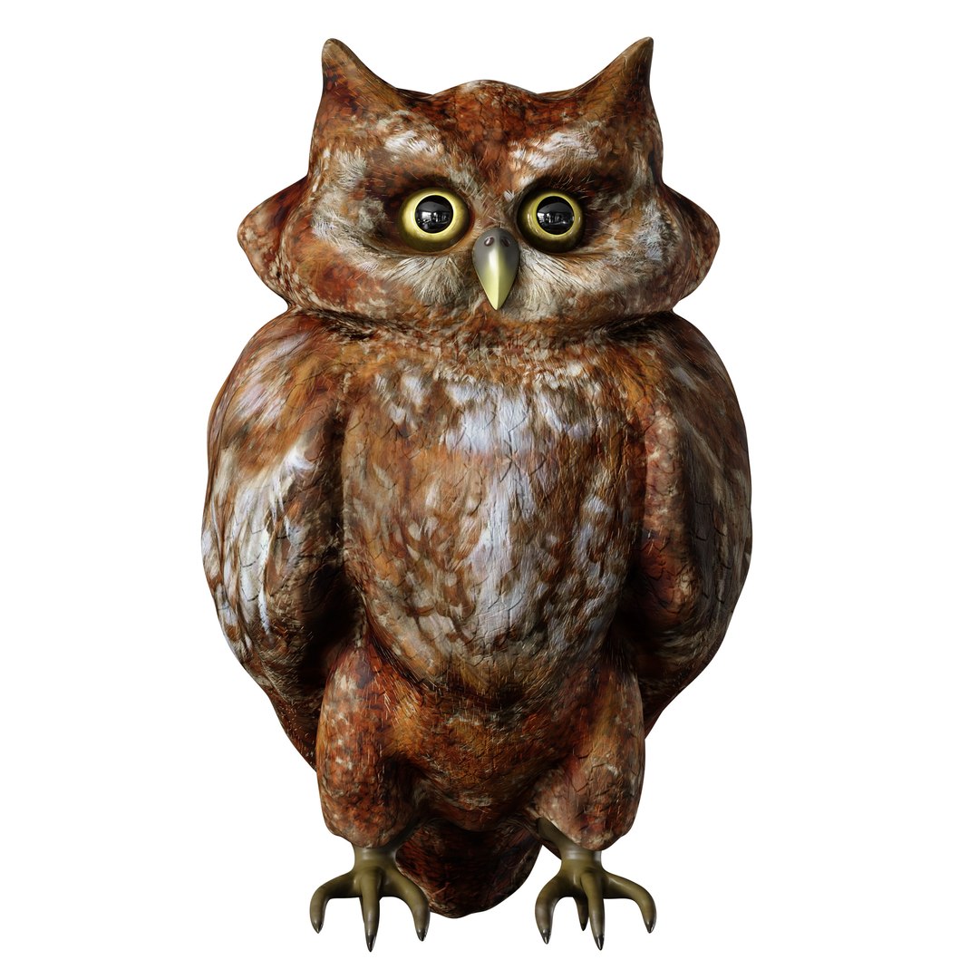 The Owl Bird 3D Model - TurboSquid 2187336