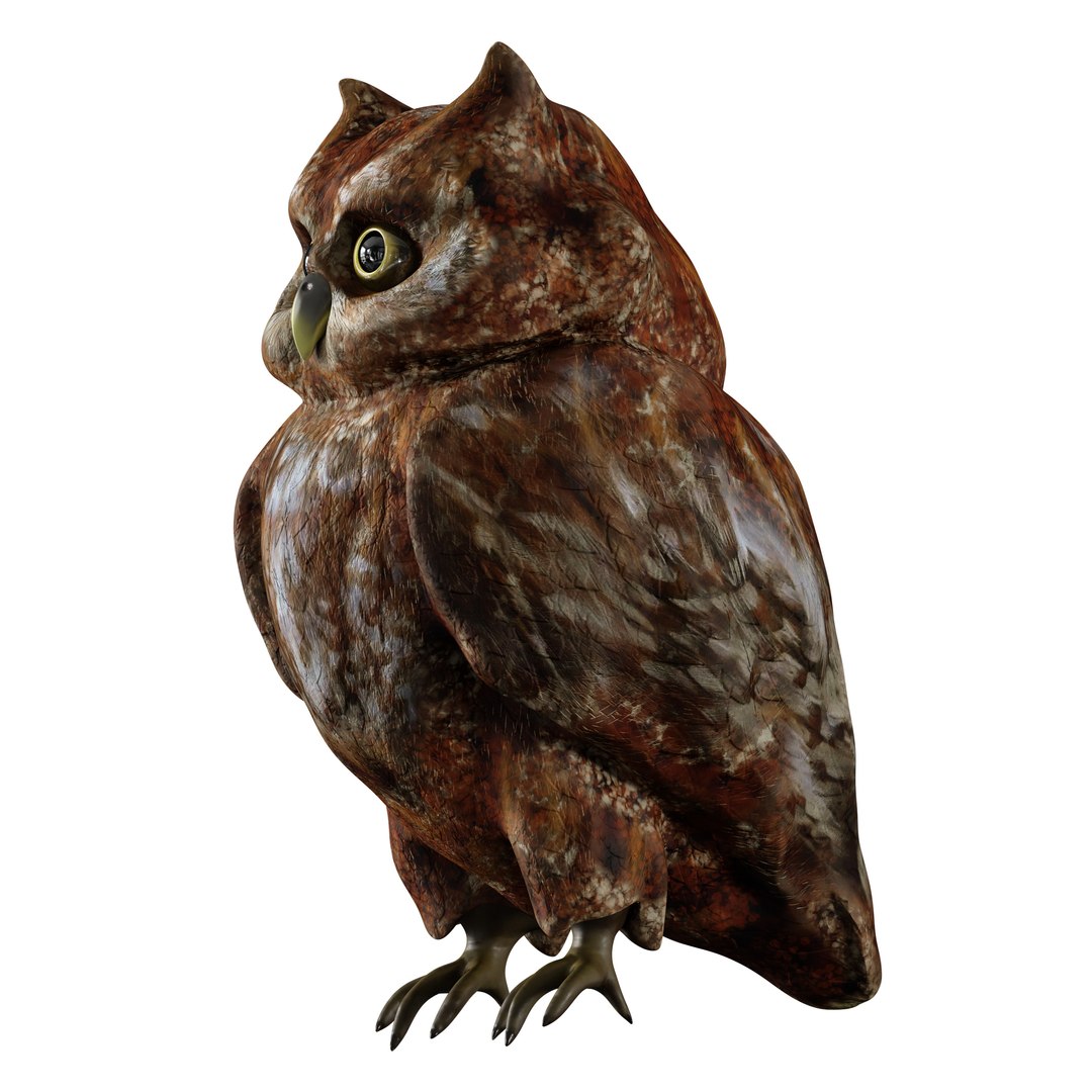 The Owl Bird 3D Model - TurboSquid 2187336
