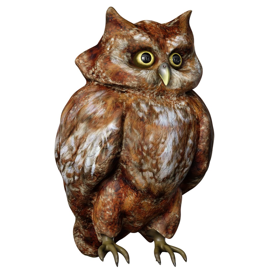 The Owl Bird 3D Model - TurboSquid 2187336