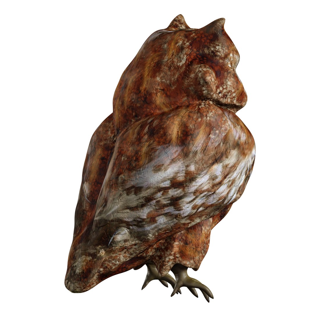 The Owl Bird 3D Model - TurboSquid 2187336