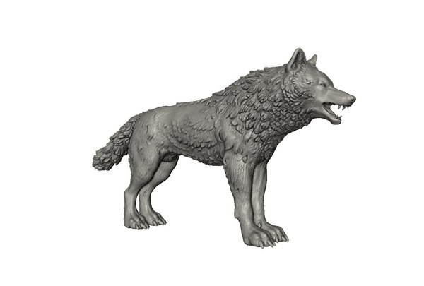 Blender Wolf Models | TurboSquid