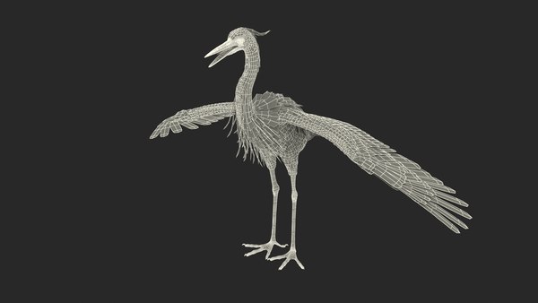 modelo 3d garza gris - TurboSquid 1962184