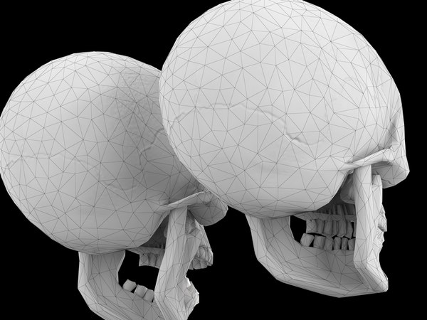 3D Human skull 1 Low-poly model - TurboSquid 1910519