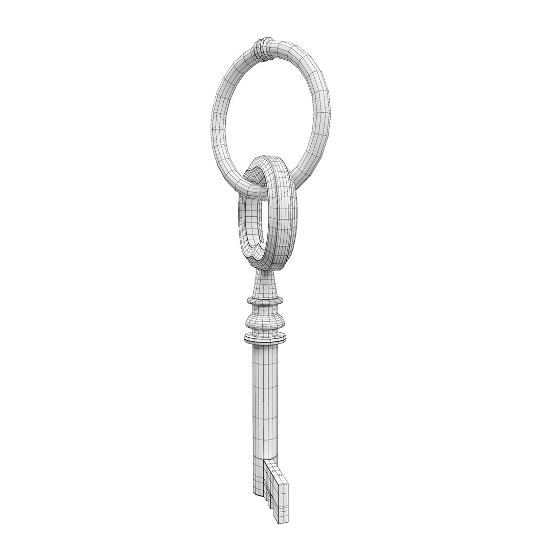 Skeleton Key Brass Metal 3d Model 3D Model - TurboSquid 1976318