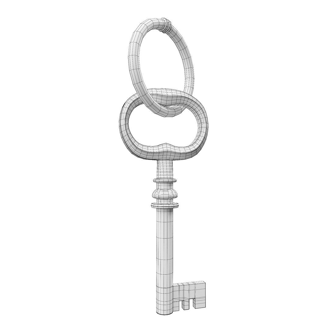 Skeleton Key Brass Metal 3d Model 3D Model - TurboSquid 1976318