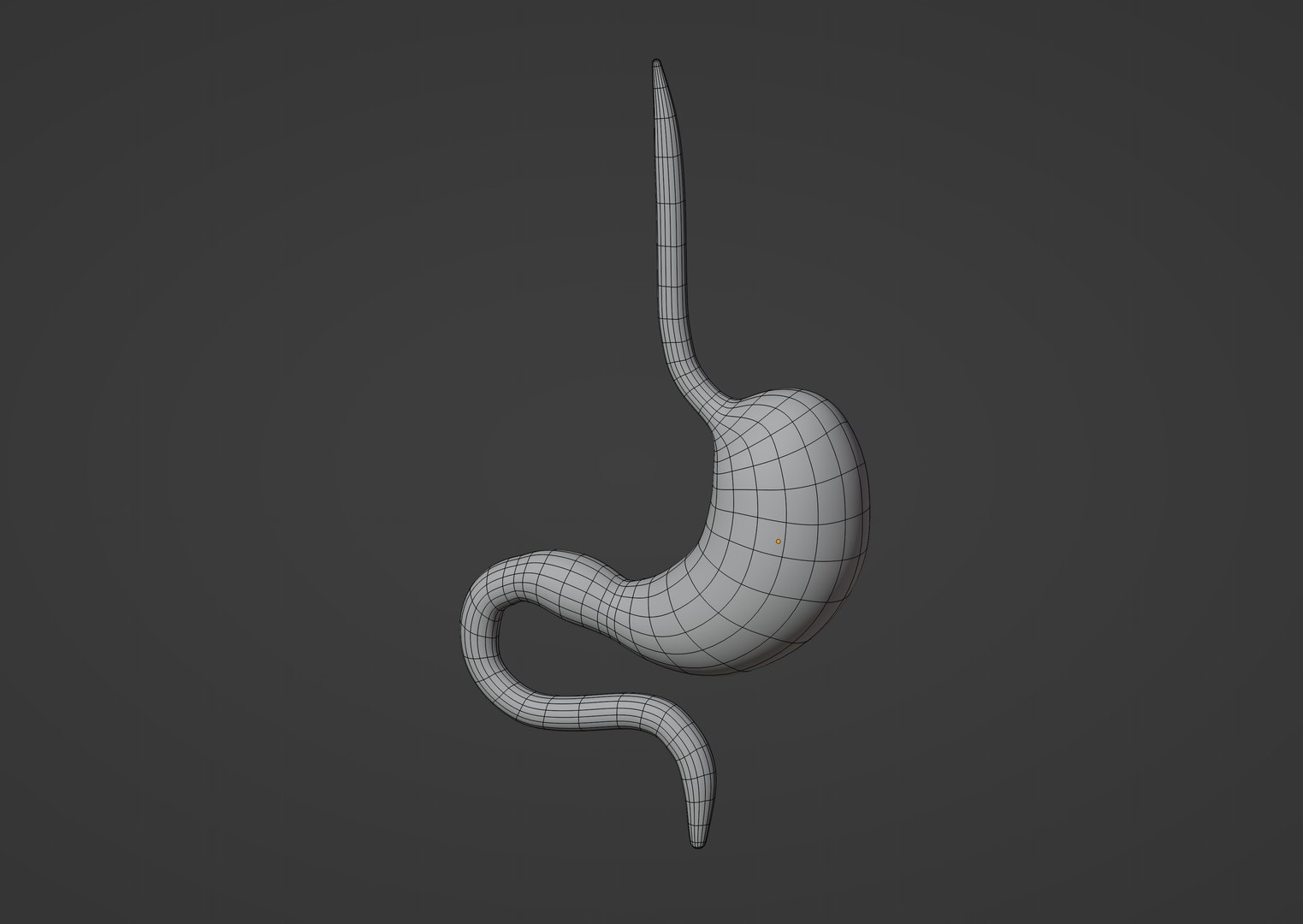 Stomach 3D Model - TurboSquid 2058055