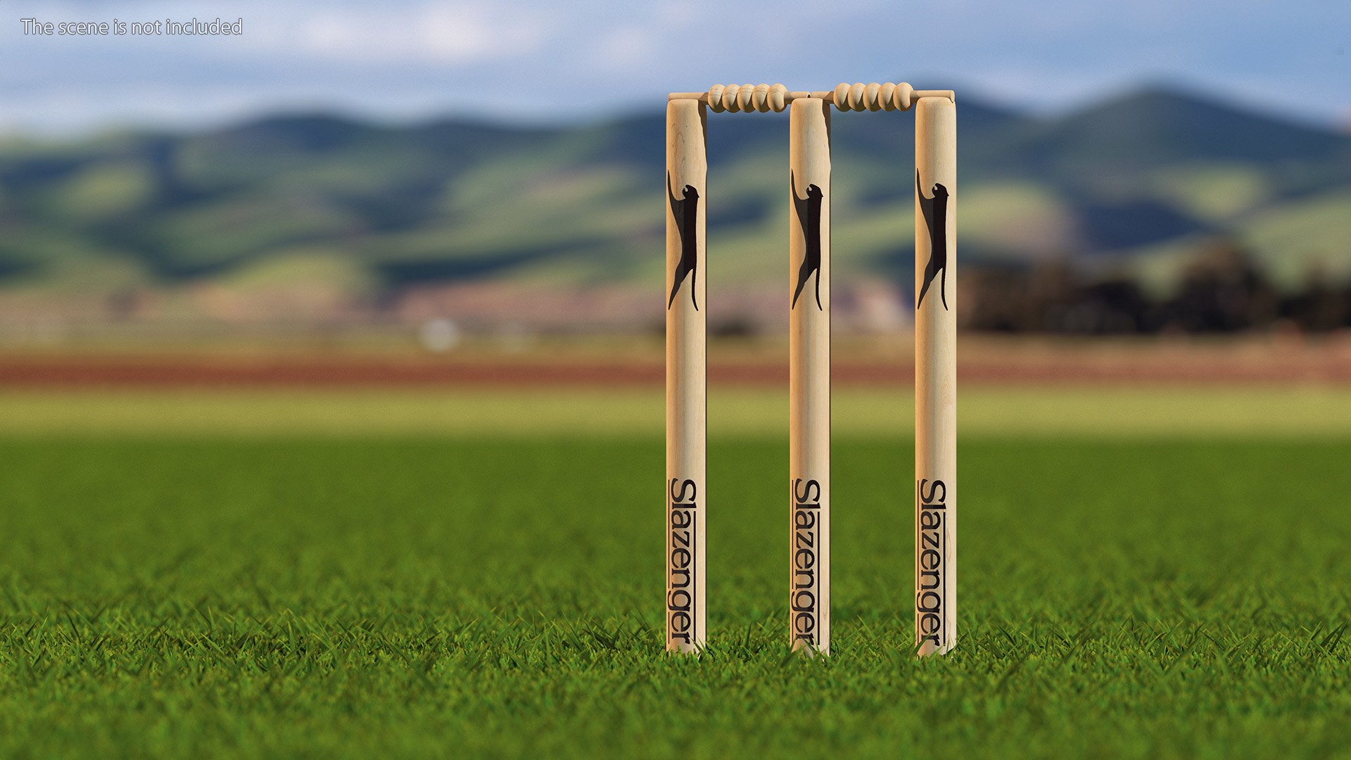 Slazenger Cricket Stumps Set 3D Model - TurboSquid 2189676