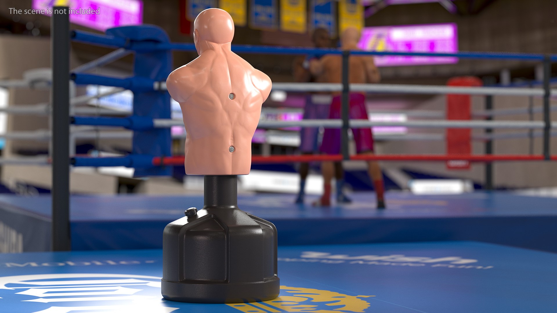 Century Bob Body Opponent 3D - TurboSquid 1635385