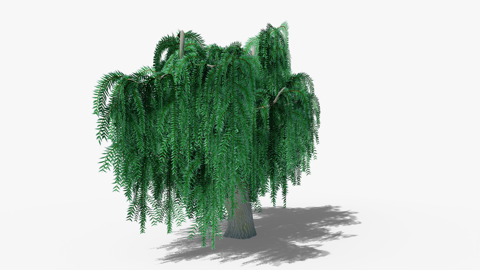 3D Model Weeping Willow V3 - TurboSquid 1810840