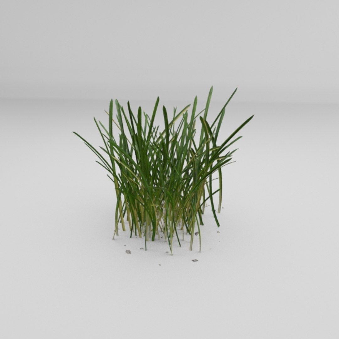 Photorealistic Grass 3d Model