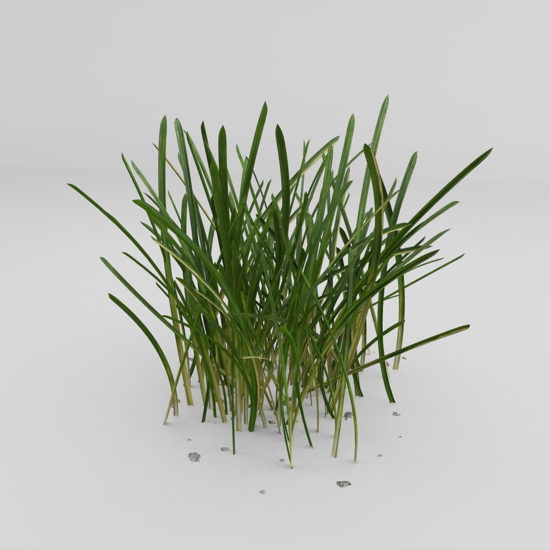 Photorealistic Grass 3d Model