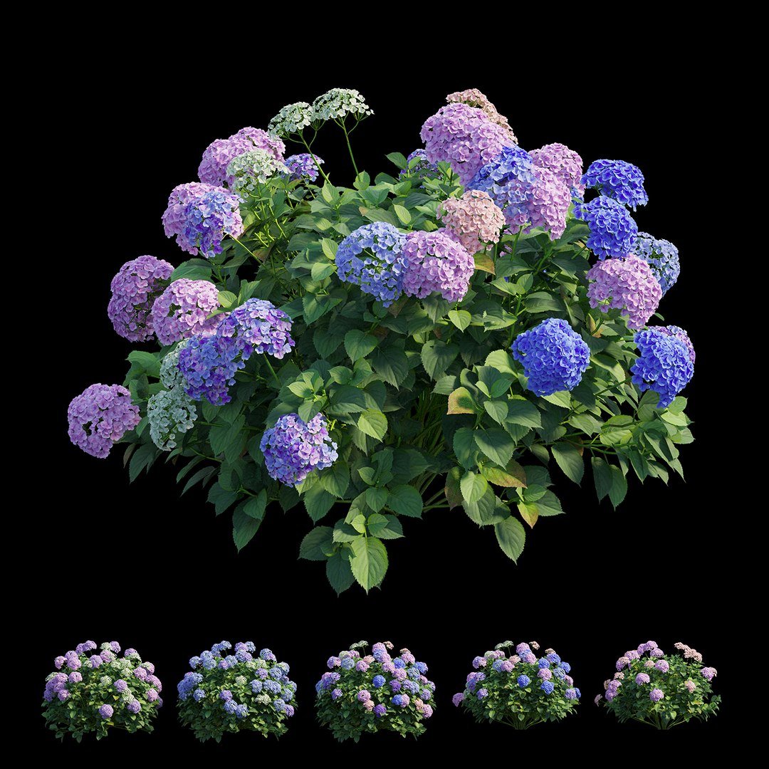 Plant Set Model - TurboSquid 1610880