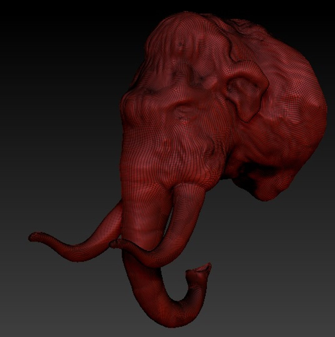 3d Mammoth Head
