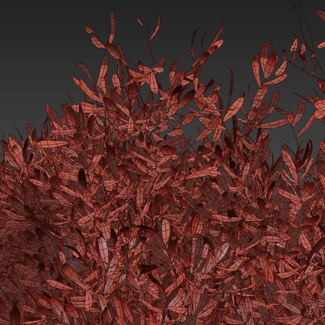 Bayberry Bush 3D Model - TurboSquid 1950348