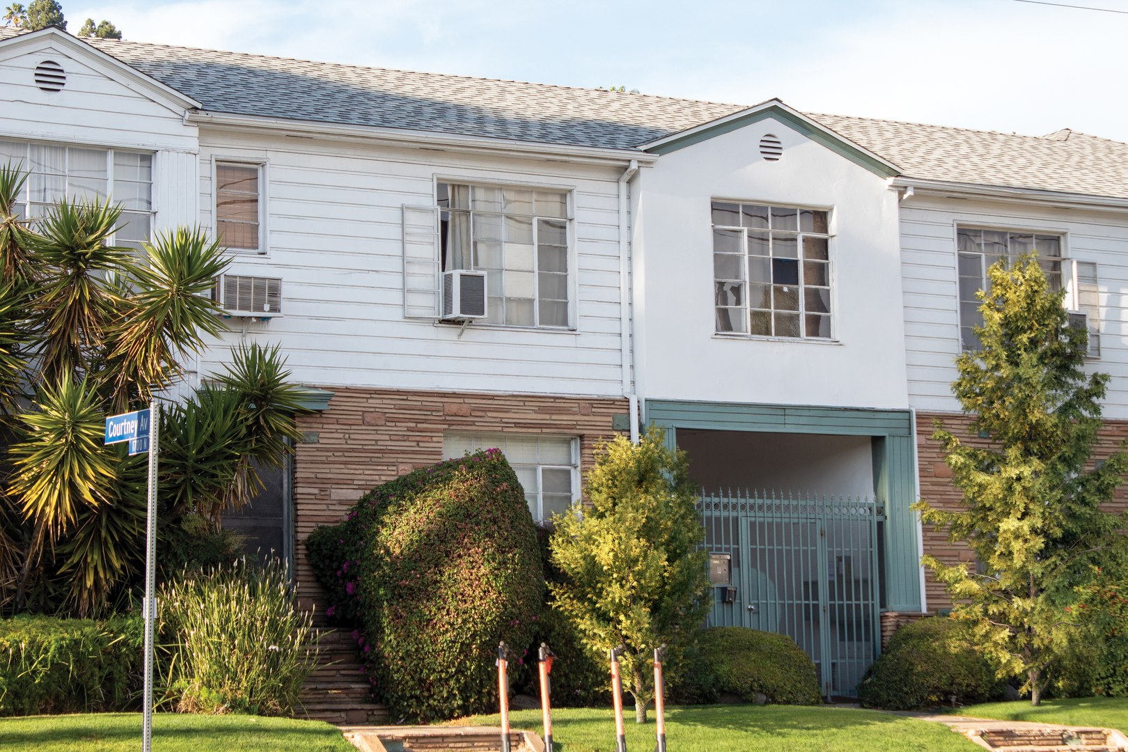 2021 PBR Temple Juniper Collection - Juniperus Rigida 3D Model ...