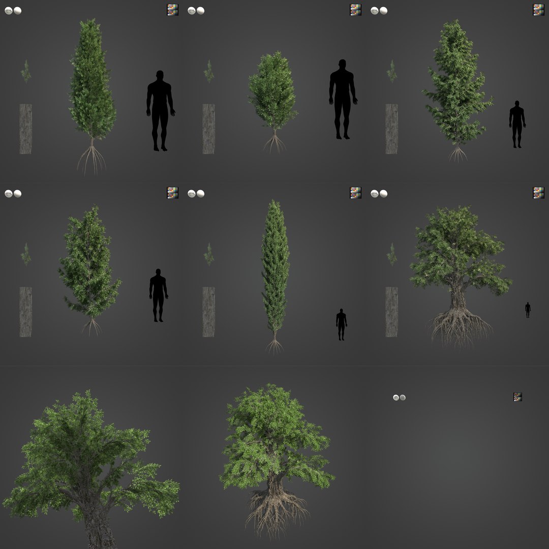 2021 PBR Temple Juniper Collection - Juniperus Rigida 3D Model ...