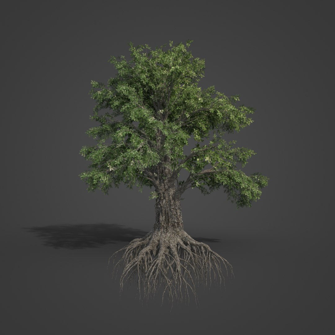 2021 PBR Temple Juniper Collection - Juniperus Rigida 3D Model ...