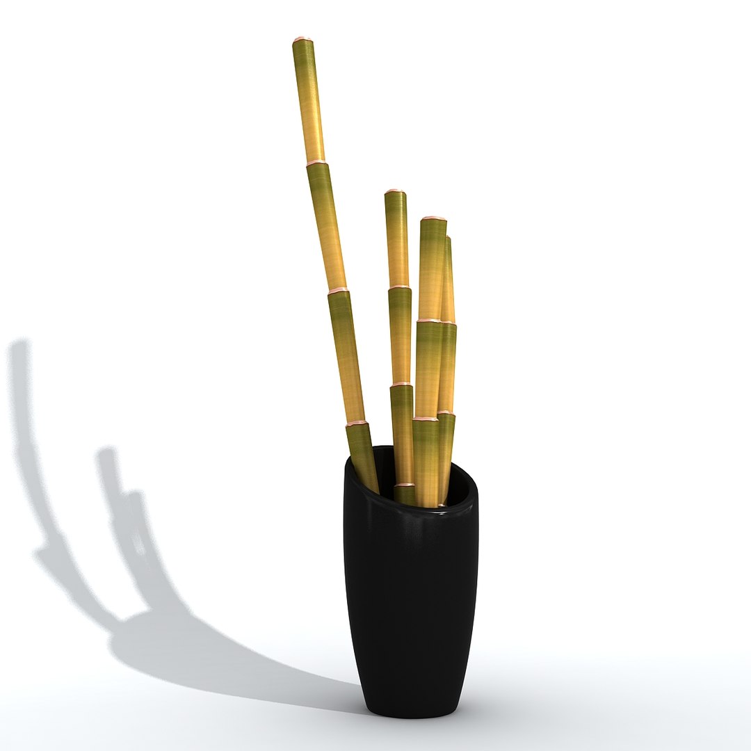 3ds Max Bamboo Interior