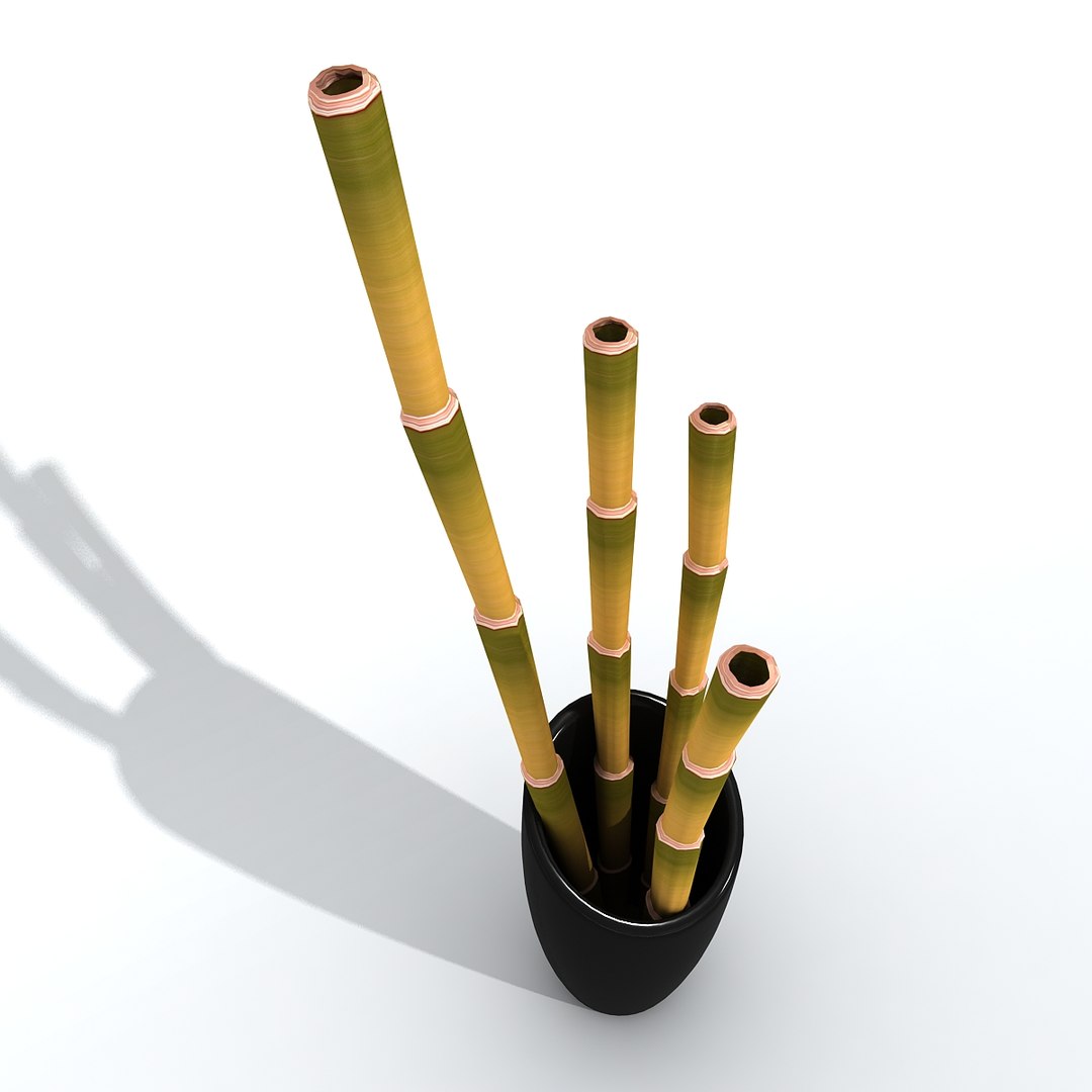 3ds Max Bamboo Interior