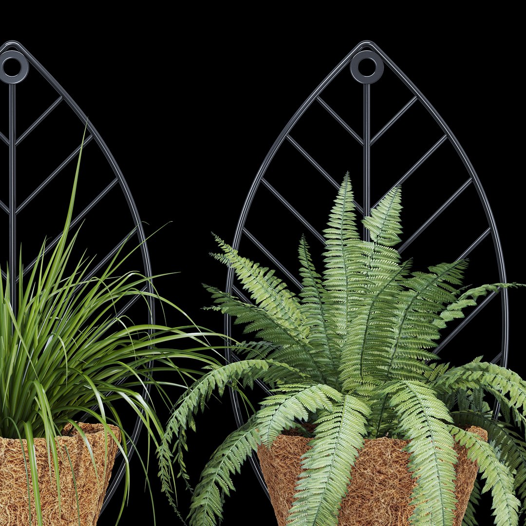 Foglia model - TurboSquid 1834760