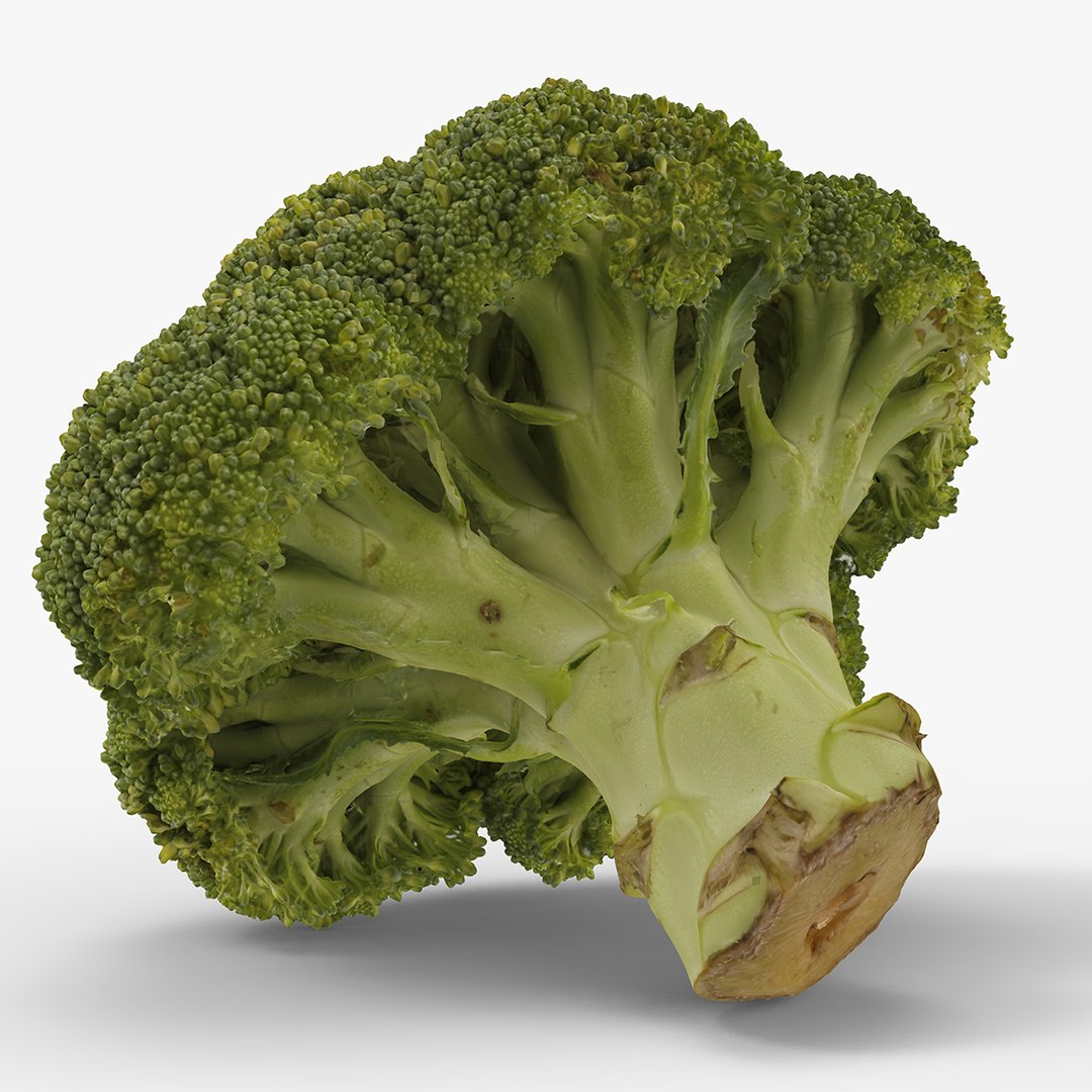 Broccoli 3D Model - TurboSquid 1945557