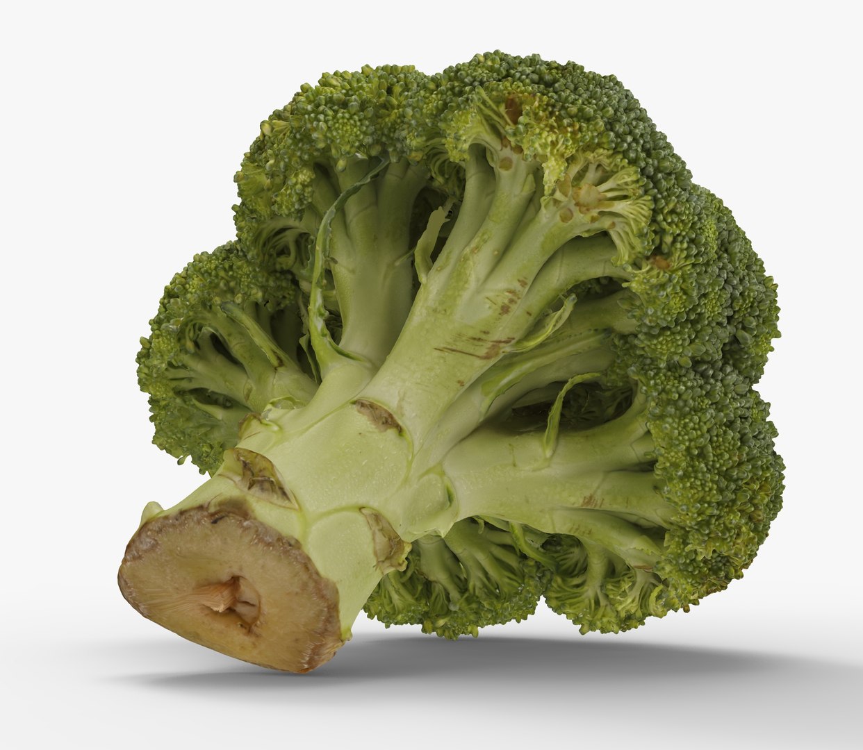 Broccoli 3D Model - TurboSquid 1945557