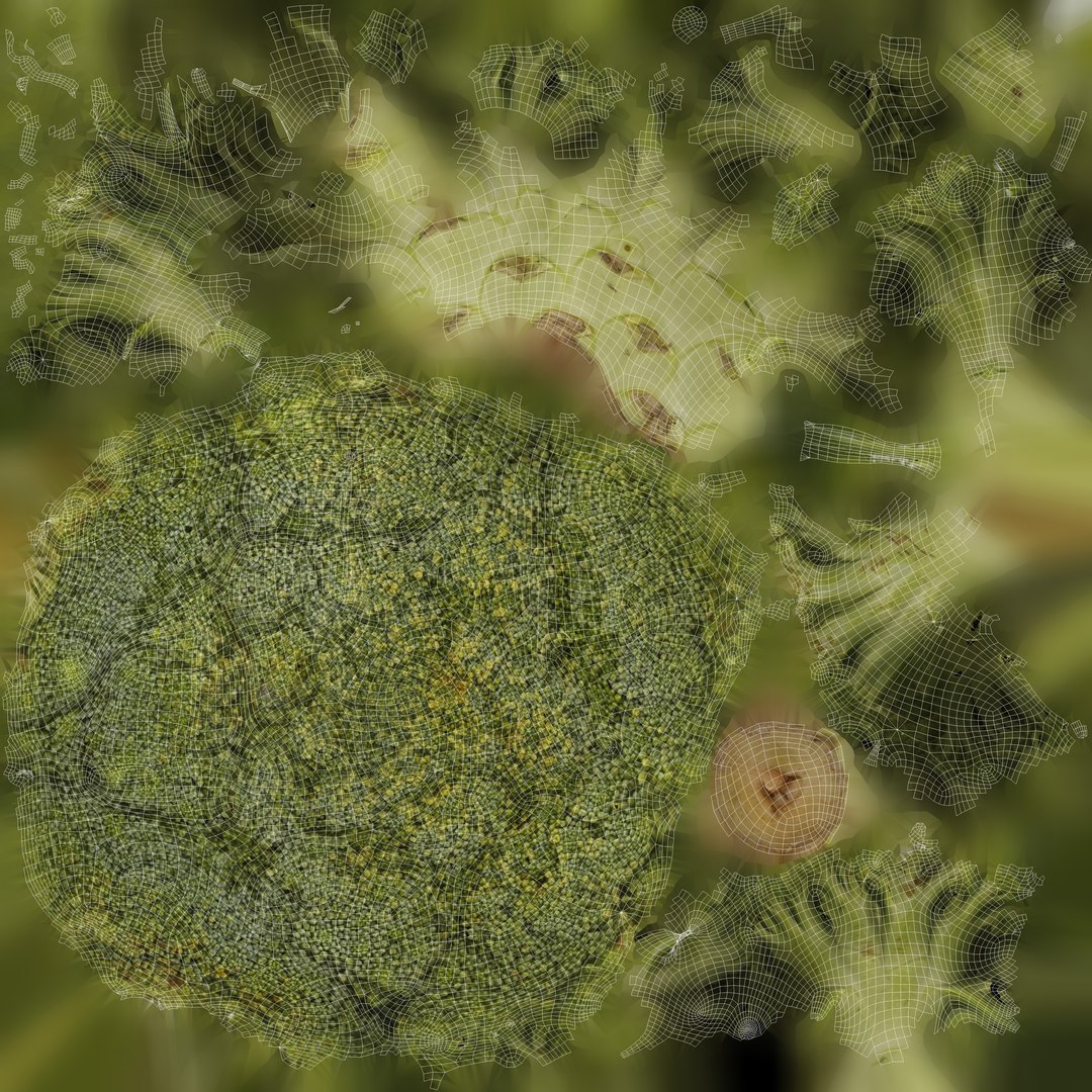 Broccoli 3D Model - TurboSquid 1945557