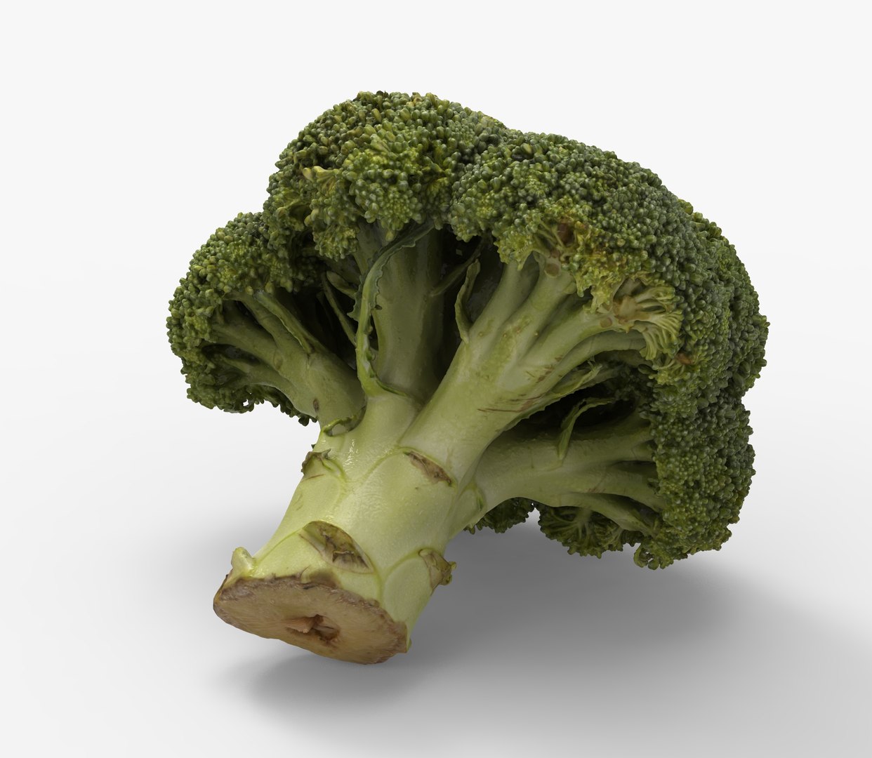 Broccoli 3D Model - TurboSquid 1945557