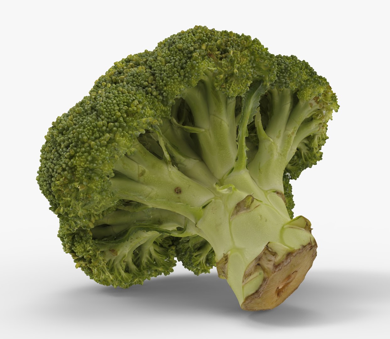 Broccoli 3D Model - TurboSquid 1945557