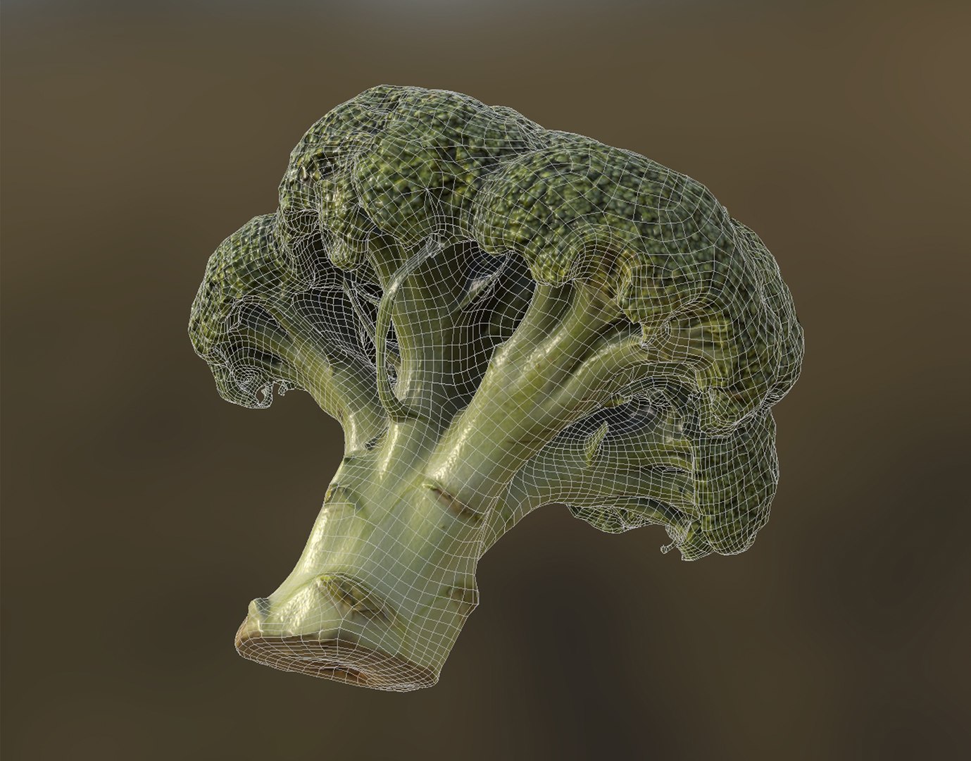 Broccoli 3D Model - TurboSquid 1945557