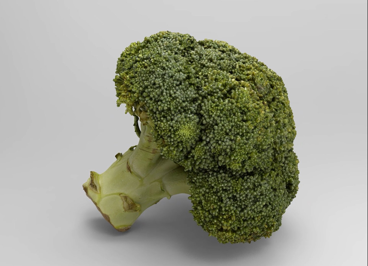 Broccoli 3D Model - TurboSquid 1945557