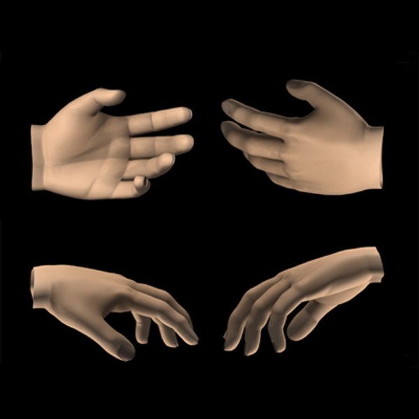 hands 3d x