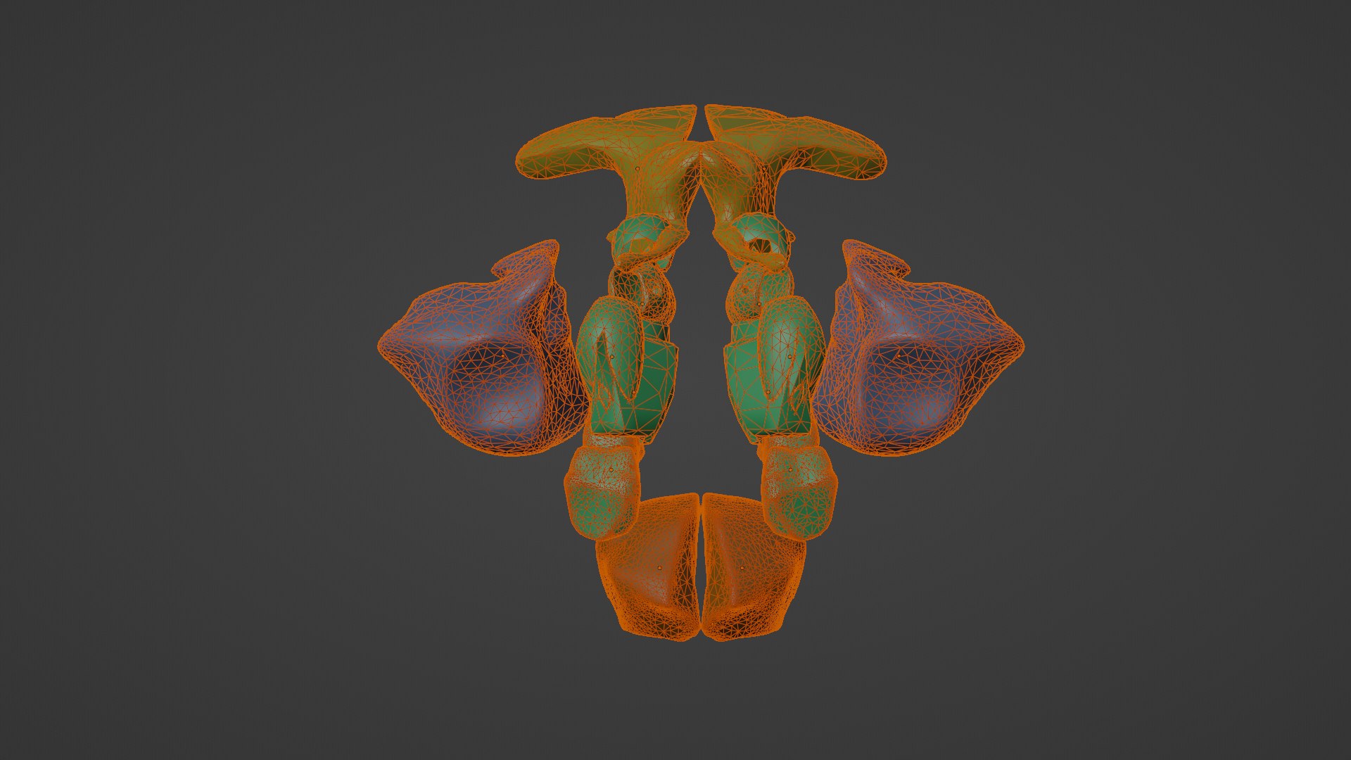3D 3D Model Of Paranasal Sinuses Model - TurboSquid 2079606