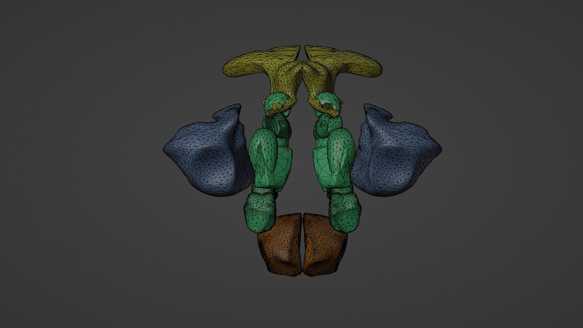 3D 3D Model Of Paranasal Sinuses Model - TurboSquid 2079606