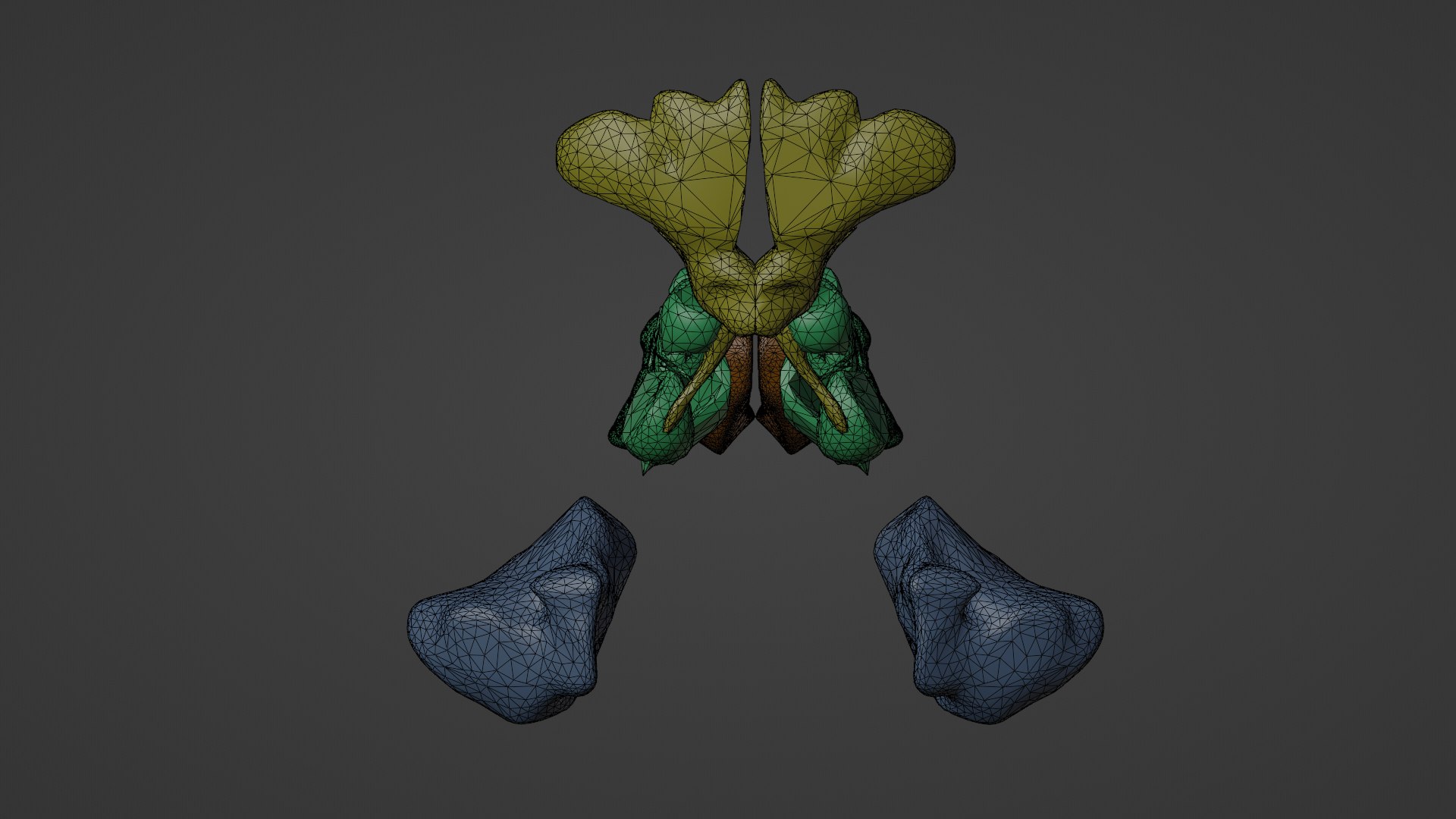 3D 3D Model Of Paranasal Sinuses Model - TurboSquid 2079606