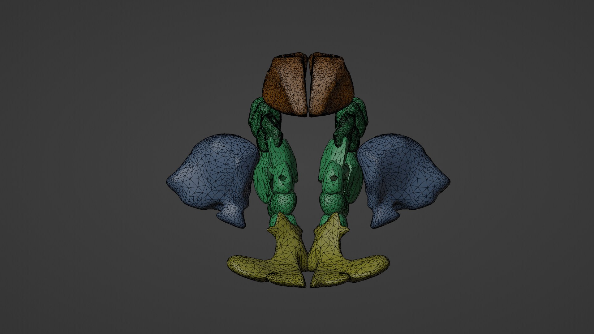 3D 3D Model Of Paranasal Sinuses Model - TurboSquid 2079606